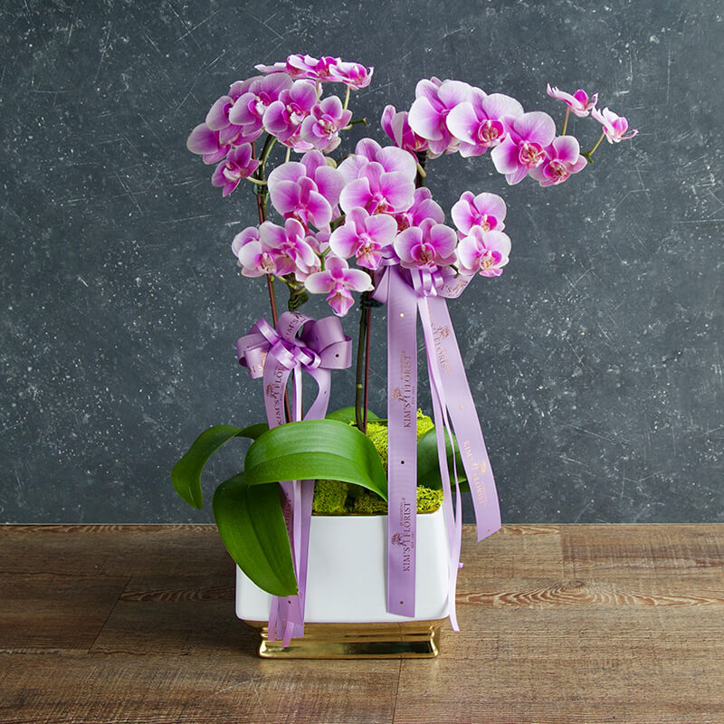 Johor Bahru Flower Delivery | Online Florist, Hand Bouquets Johor Bahru